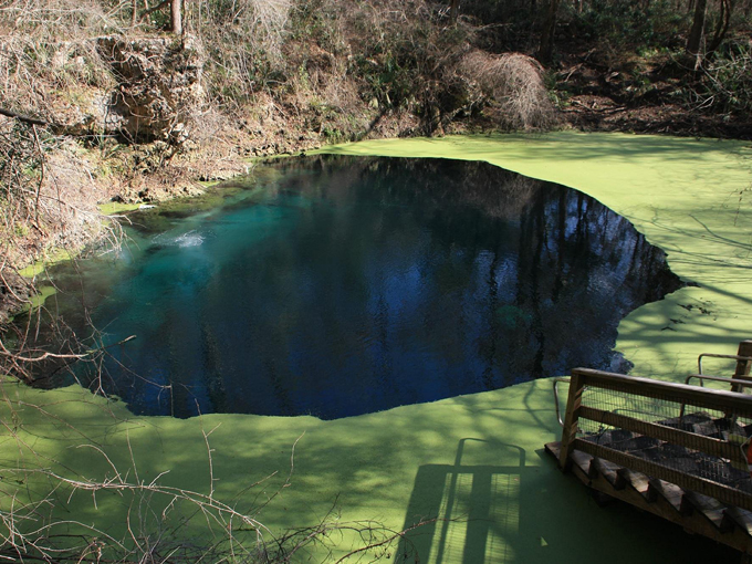 wes skiles peacock springs state park 1