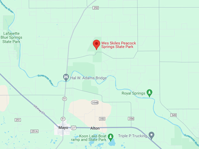 wes skiles peacock springs state park 10 map