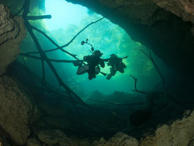 wes skiles peacock springs state park 3
