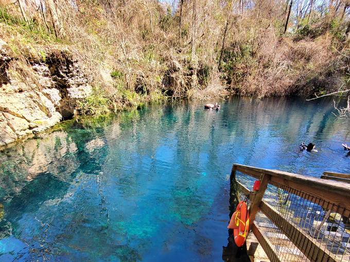 wes skiles peacock springs state park 7