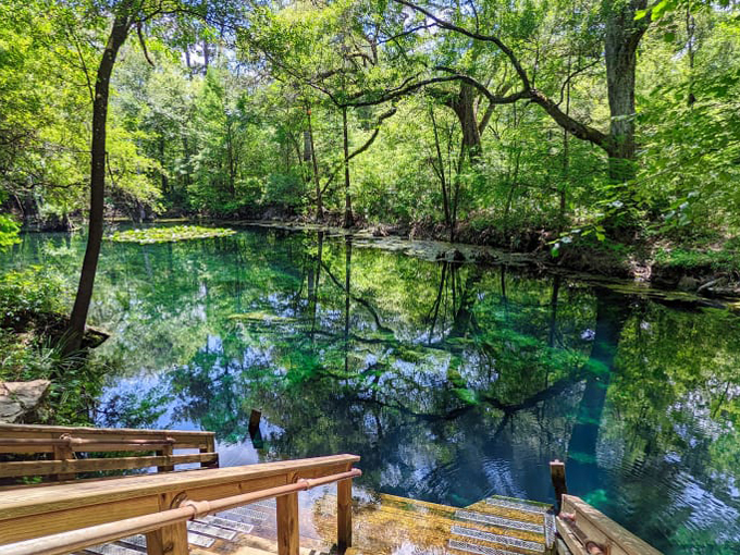 wes skiles peacock springs state park 9