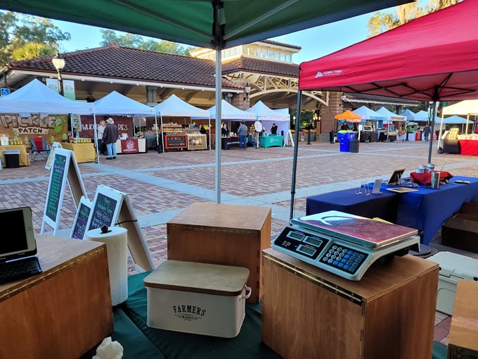winter garden farmers market 2