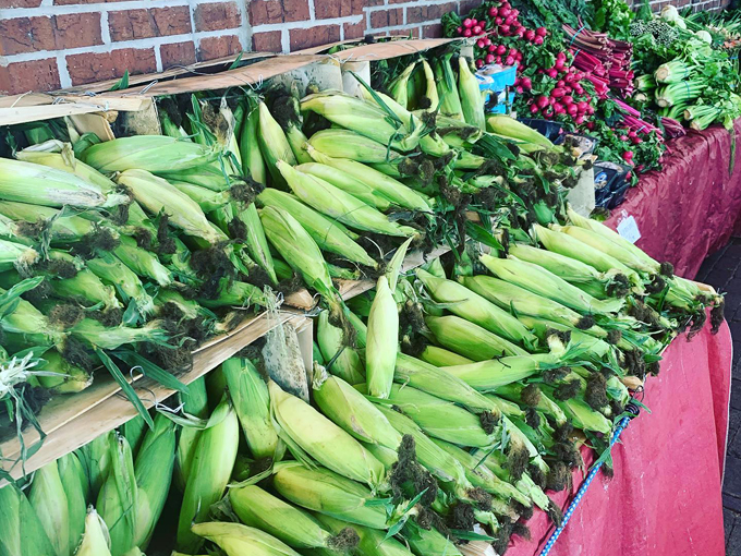 winter garden farmers market 7