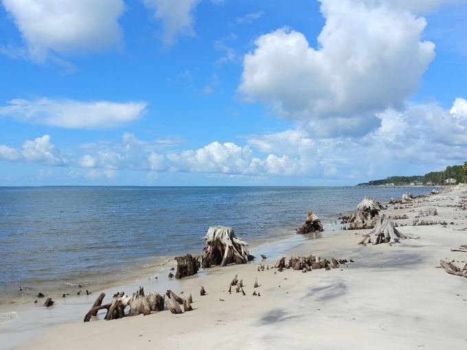 worlds smallest police station 8