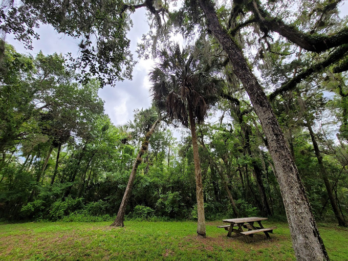 yulee sugar mill ruins 7