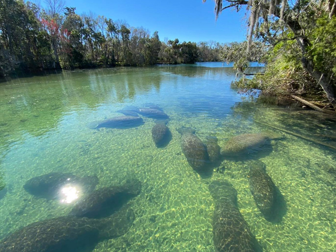 yulee sugar mill ruins historic state park 8