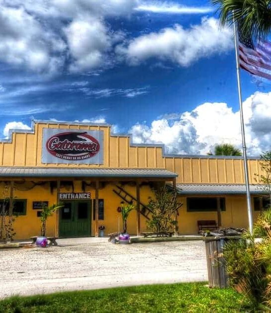 alligator wildlife park florida ftr