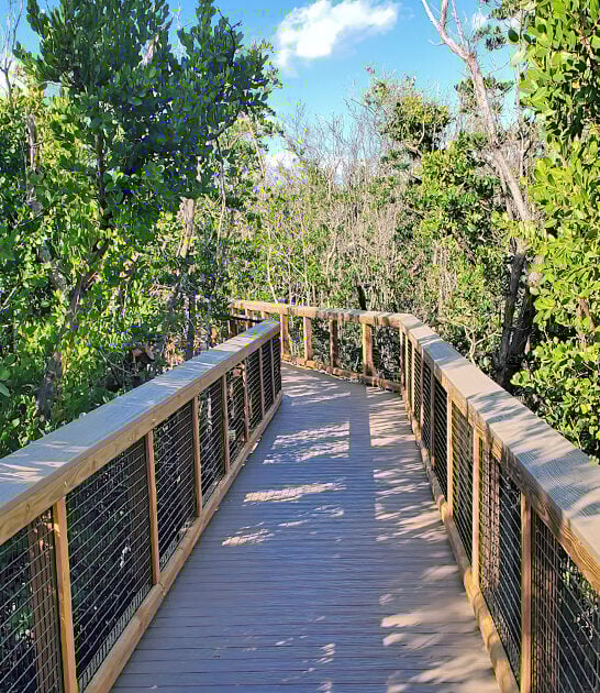 beautiful tranquil park florida ftr