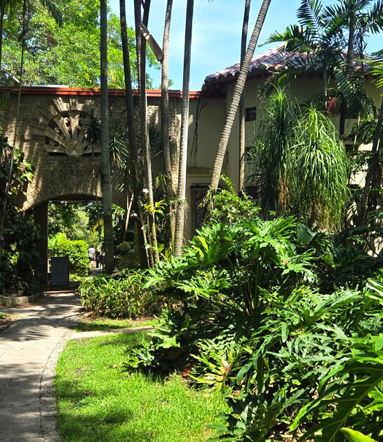 botanical garden tropical florida ftr