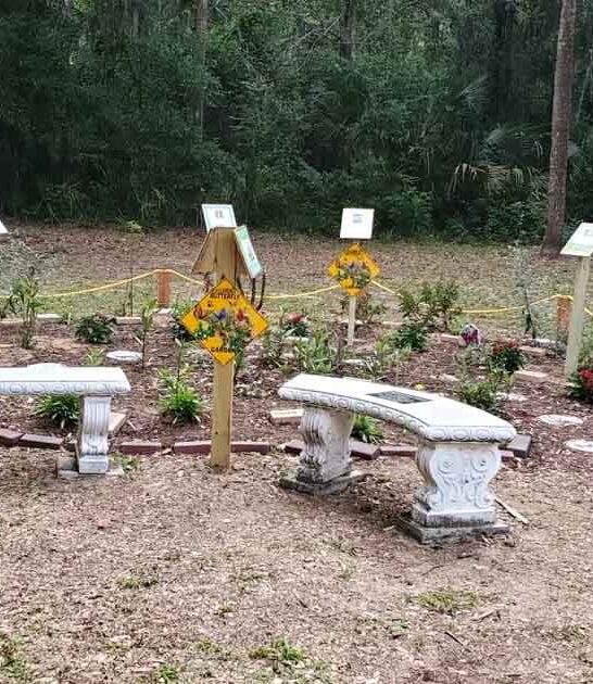 butterfly garden park florida ftr