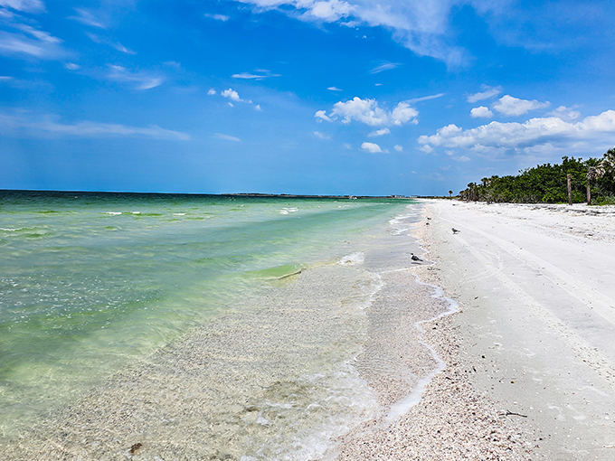 caladesi island 2