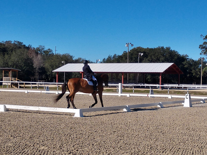 clarcona horsemans park 1