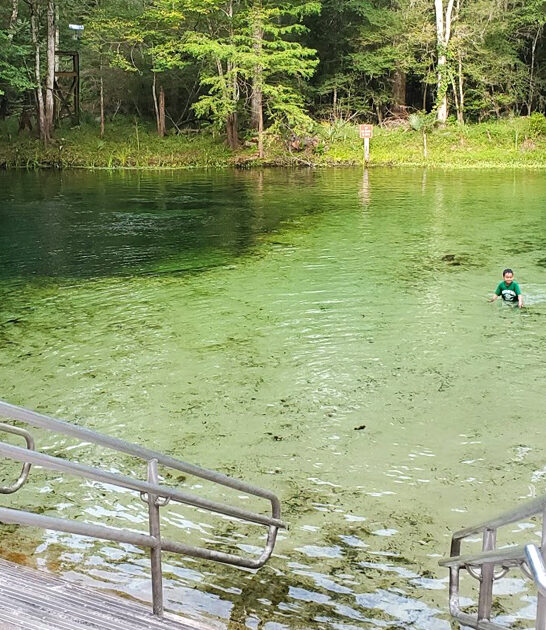 crystal clear springs florida ftr
