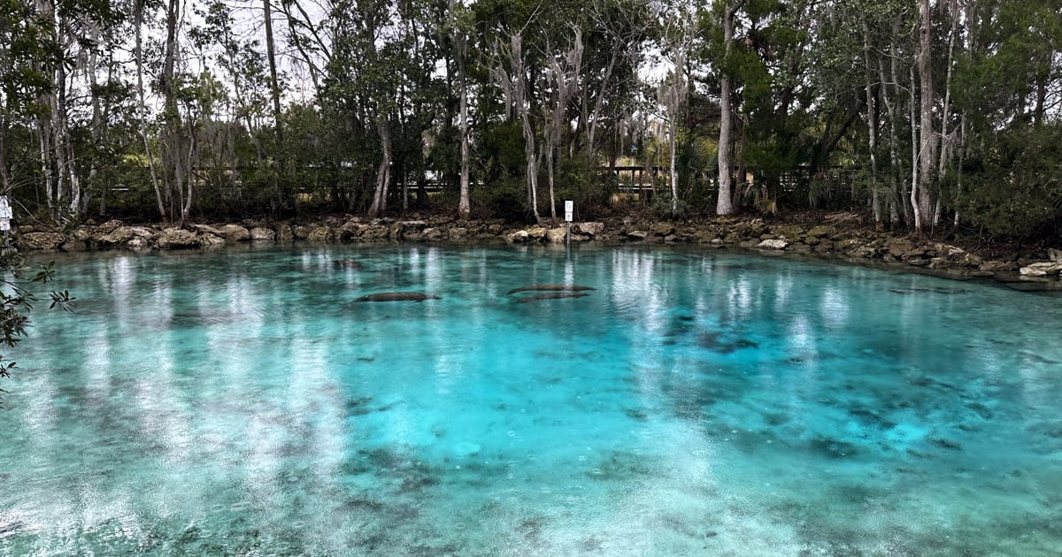 7 Enchanting Spots You Must Visit in Crystal Springs, Florida