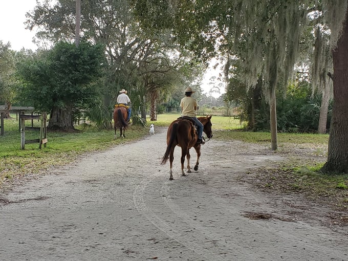 dupuis jr. wildlife and environmental area 7