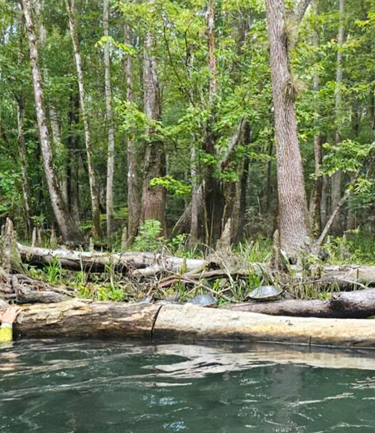 eco adventure tour florida ftr