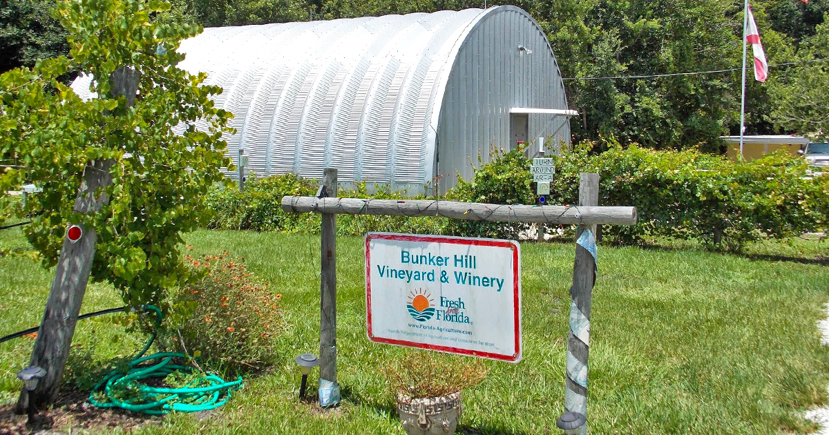 eco friendly winery florida ftr