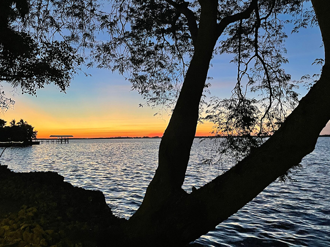 edison and ford winter estates 9