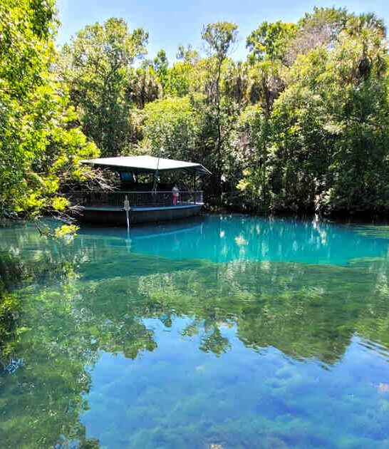 enchanting state park florida ftr