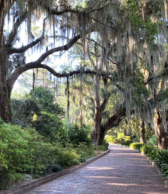 enthralling state park florida ftr