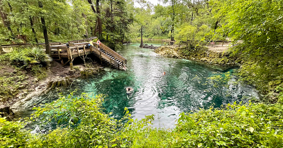 exquisite spring florida ftr