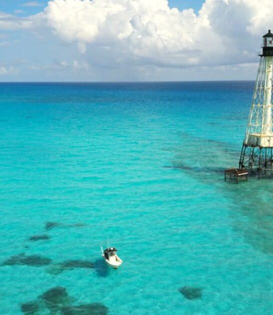 florida lighthouse marine life ftr