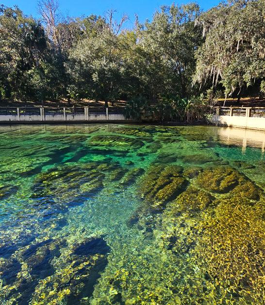 florida mineral spring ftr