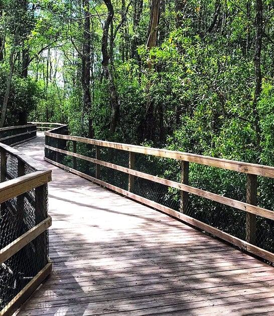 florida nature trail ftr