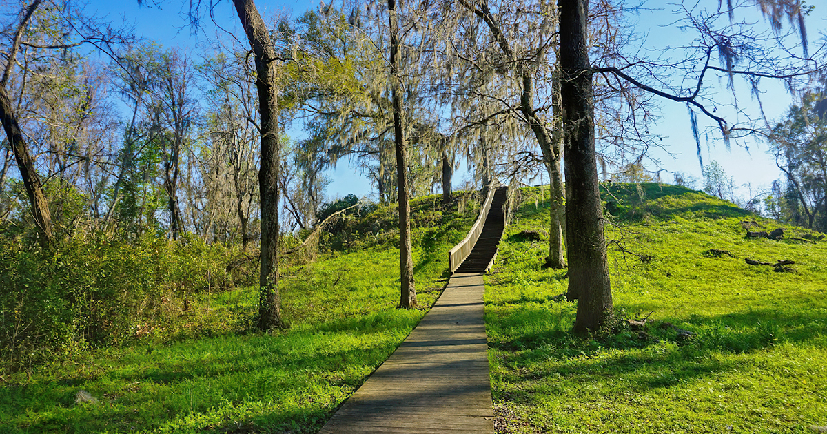 florida state park mounds ftr