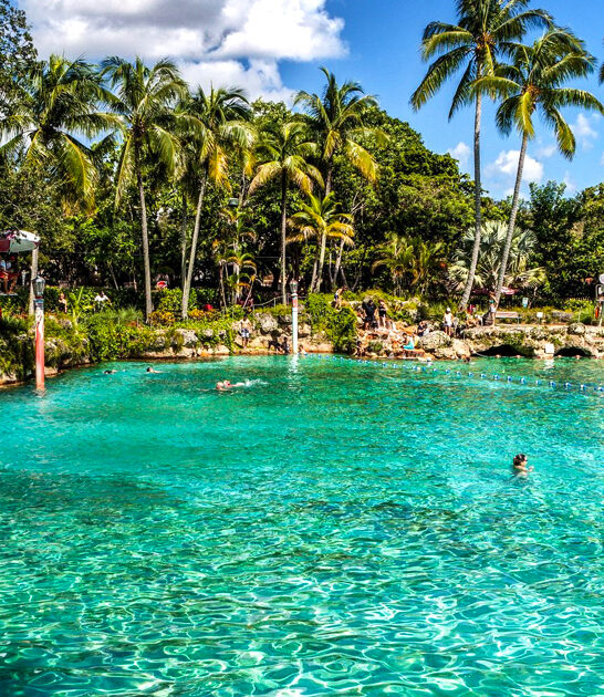 florida venetian pool ftr