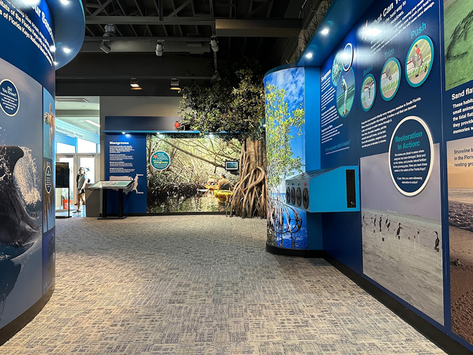 free fun activities florida 6