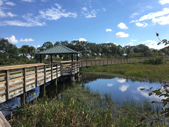 free fun activities florida 8