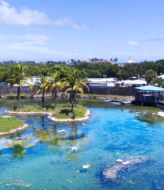 friendly marine sanctuary florida ftr