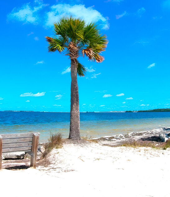 gulf picturesque beach florida ftr