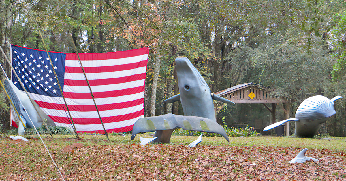 heartfelt art installation florida ftr