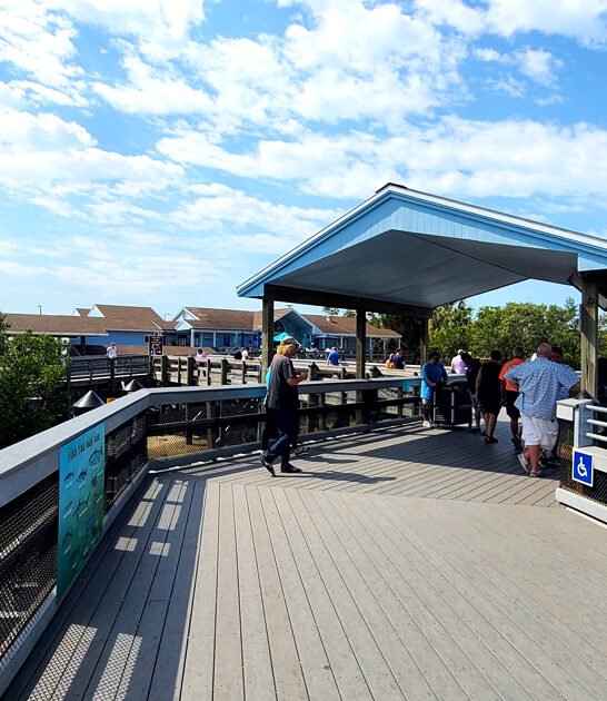 hidden manatee sanctuary florida ftr