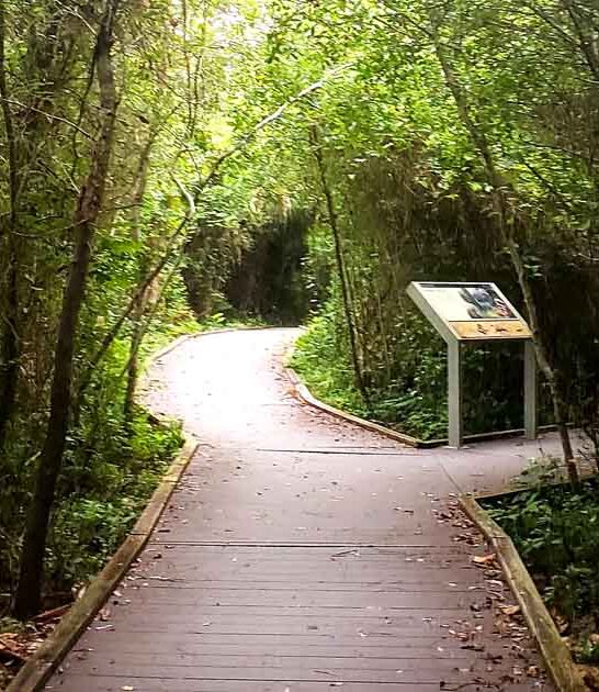 hidden nature preserve florida ftr