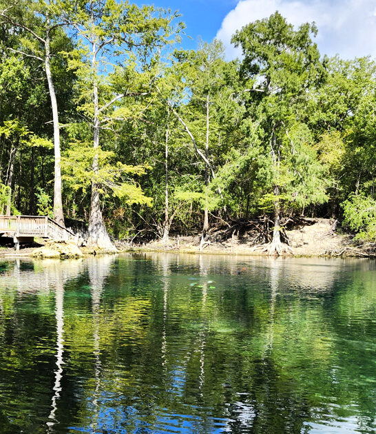 historic underwater spring florida ftr