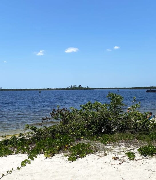 idyllic beach park florida ftr