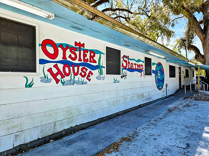 Adventure engineered for maximum giggles. This playground promises the kind of exhaustion parents secretly hope for at bedtime.