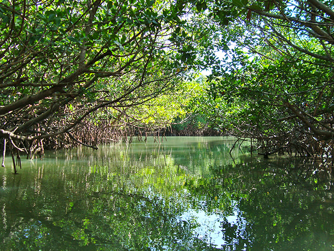 indian river lagoon 3