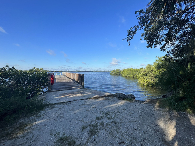 indian river lagoon 9