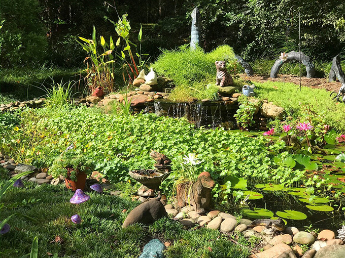 kanapaha botanical gardens 6