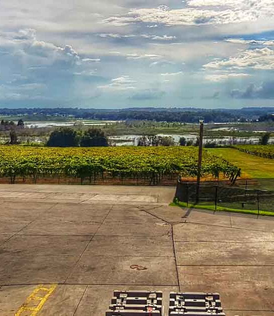 largest vineyard florida ftr