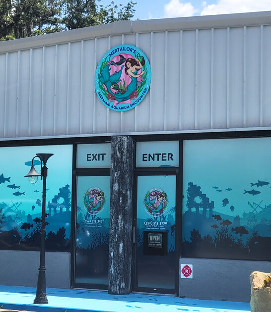 magical aquarium mermaids florida ftr
