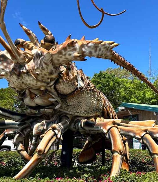 massive lobster sculpture florida ftr