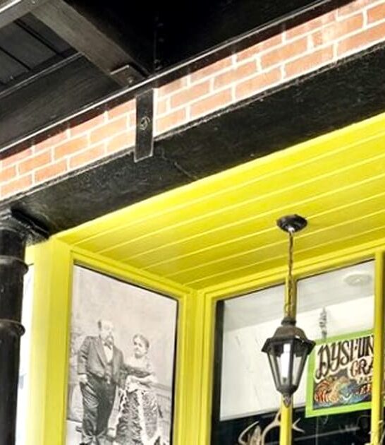 oddities shop florida ftr