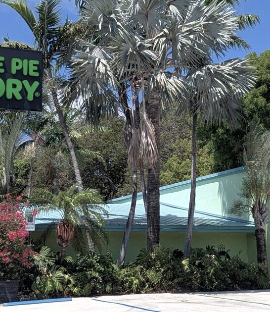 renowned bakery florida keys ftr