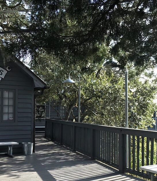 rustic waterfront eatery florida ftr