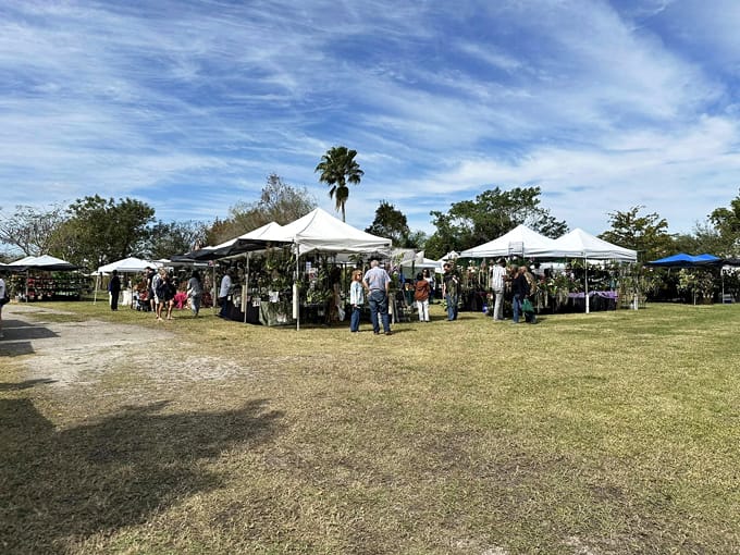 sawgrass nature center wildlife 1 1